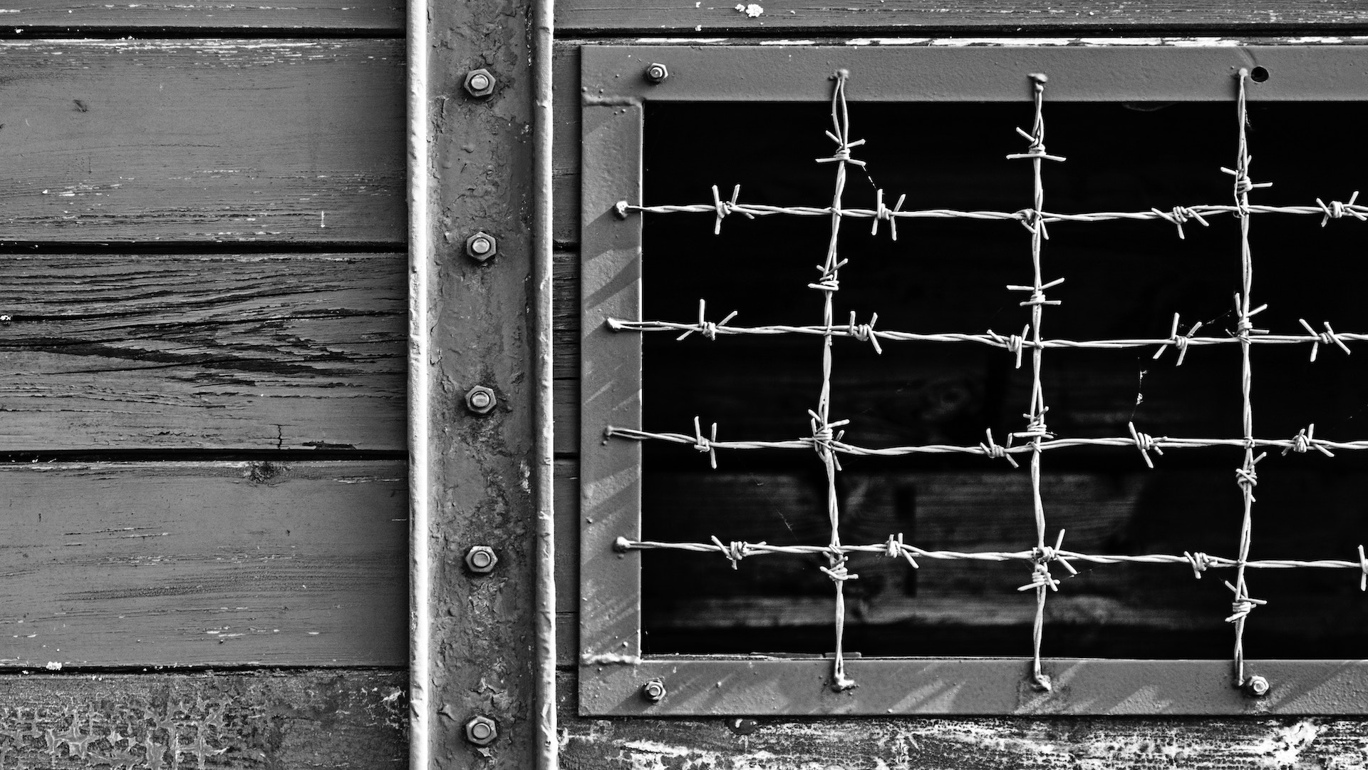 SHOAH, TRA CRONACA E MEMORIA | Circolo dei lettori / Torino